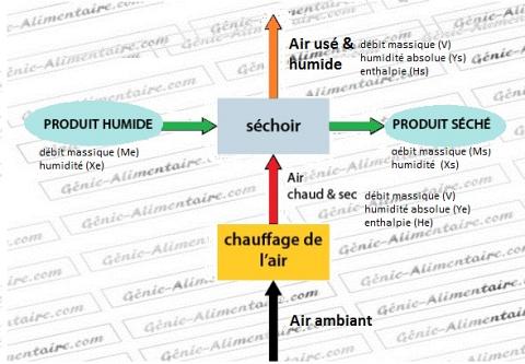 Le séchage - Génie Alimentaire
