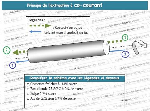 L'extraction par solvant (Solide/Liquide) - Génie Alimentaire