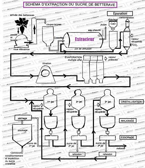 L'extraction par solvant (Solide/Liquide) - Génie Alimentaire