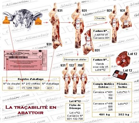 Processus d'abattage - Génie Alimentaire