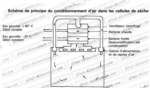 Le séchage - Génie Alimentaire